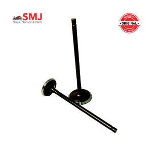 Bajaj Pulsar Ug4 Engine Valve - SMJ Bikes